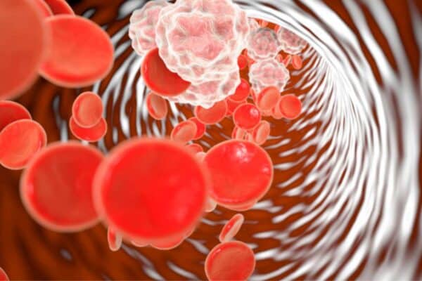 Combien de litres de sang dans le corps humain ? tout savoir sur ce ...